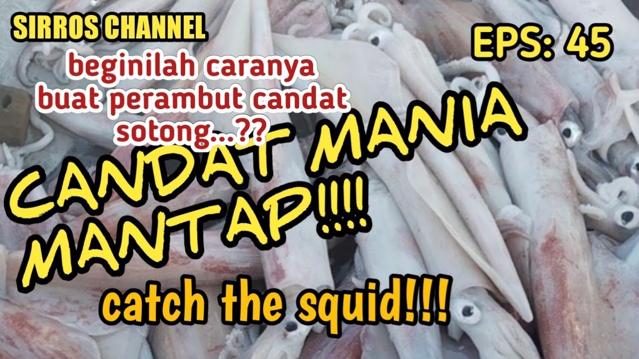 cara membuat perambut candat sotong episod 45 | how to make a leader of ...