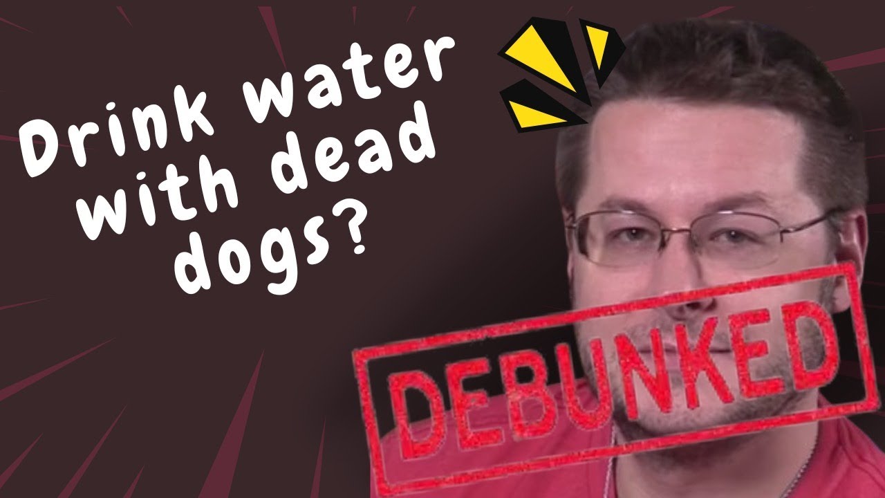 Debate: Muhammad(P) allowed drinking water with dead dogs in it? - YouTube