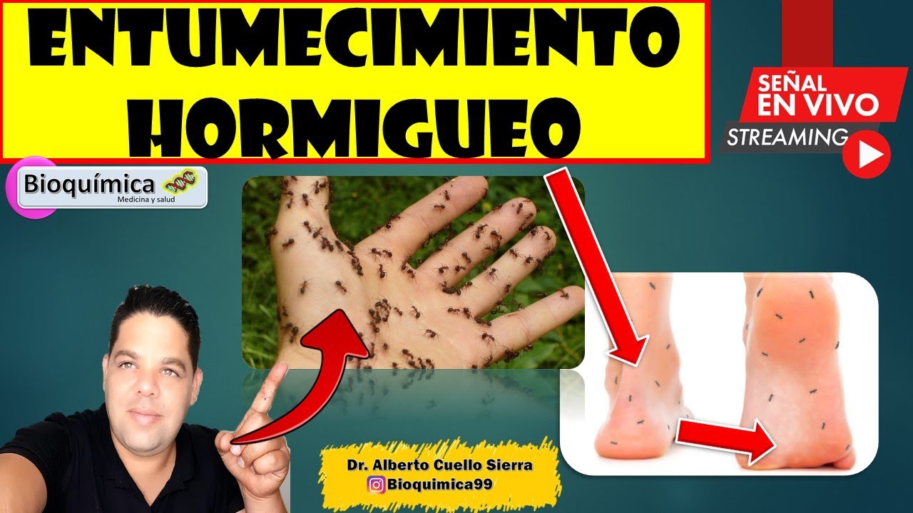 ENTUMECIMIENTO y HORMIGUEO en MANOS Y PIES, Causas, Diagnóstico y ...