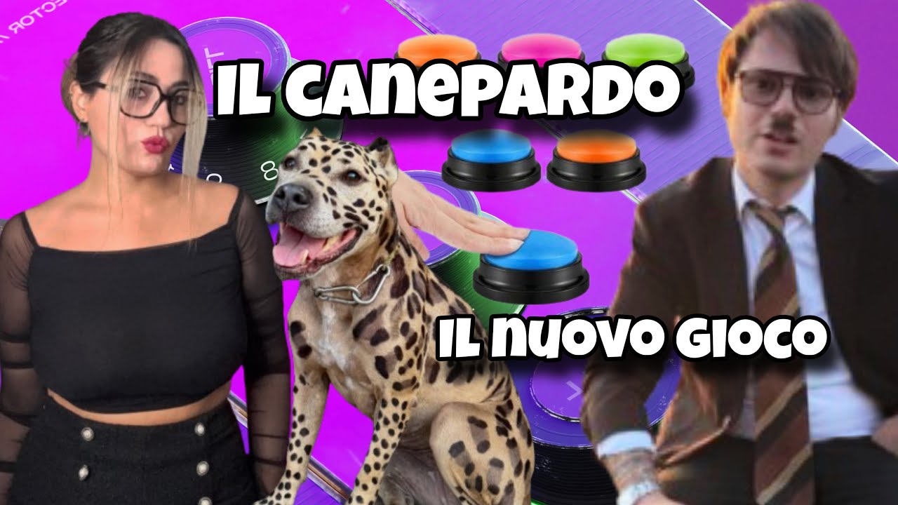 Il Canepardo ha un gioco nuovo 😍 - YouTube