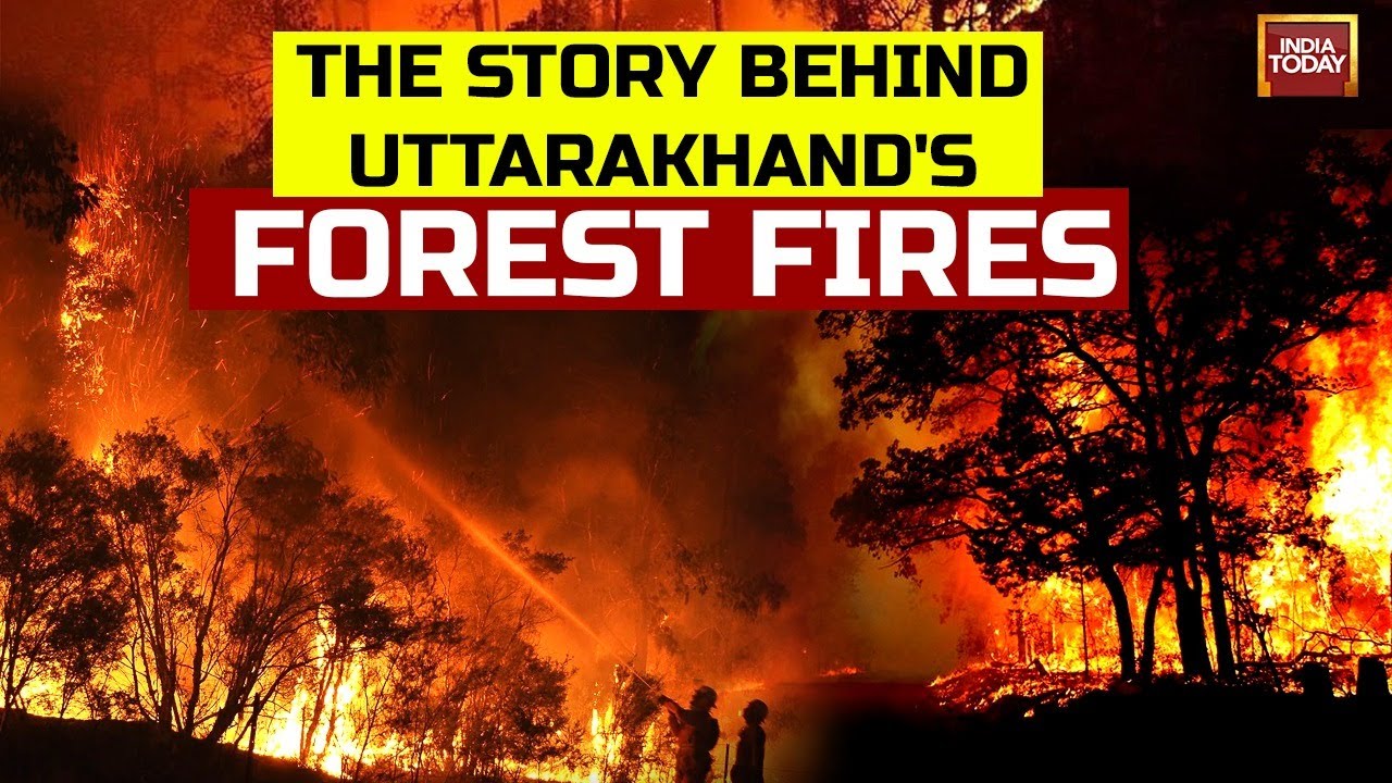 What's Causing The Forest Fires In Uttarakhand? - YouTube