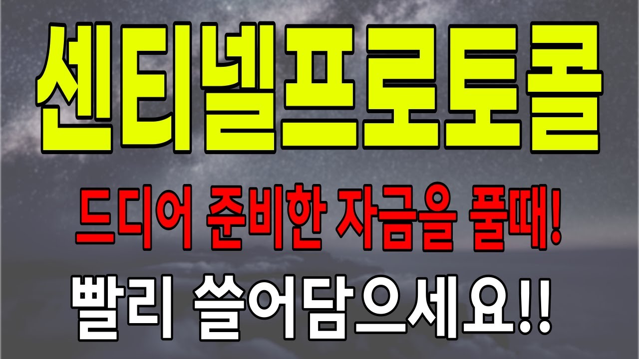 센티넬프로토콜 드디어 준비한 자금을 풀 때 빨리 쓸어담으세요 Youtube