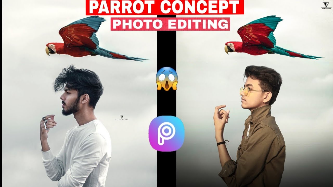 New Viral Parrot Concept Photo EDITING In Picsart - PS Picturez - YouTube