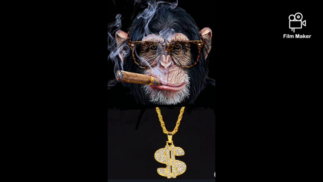 Chimpanzee Song Remix Professional 🐒🎧🎶🎶 - YouTube