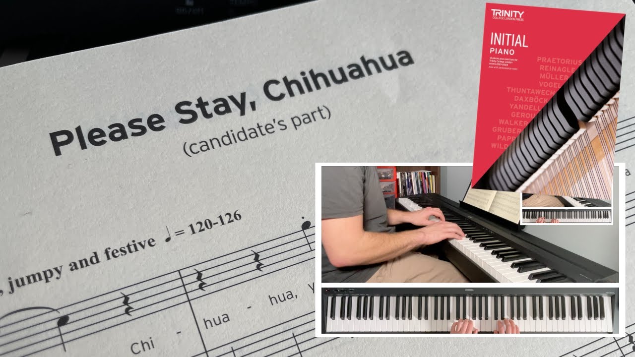 Please Stay, Chihuahua duet, Tom Gerou | Trinity Piano Initial - YouTube