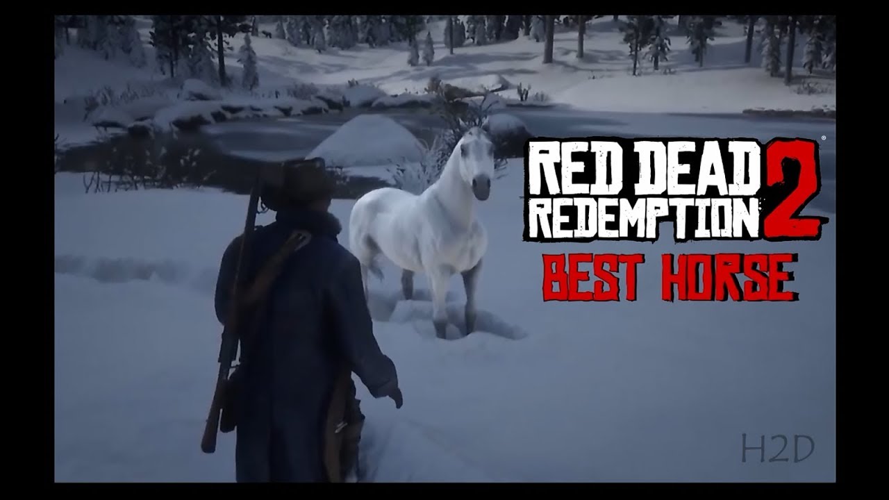 Red Dead Redemption 2 | Capturing the White Arabian Horse - YouTube