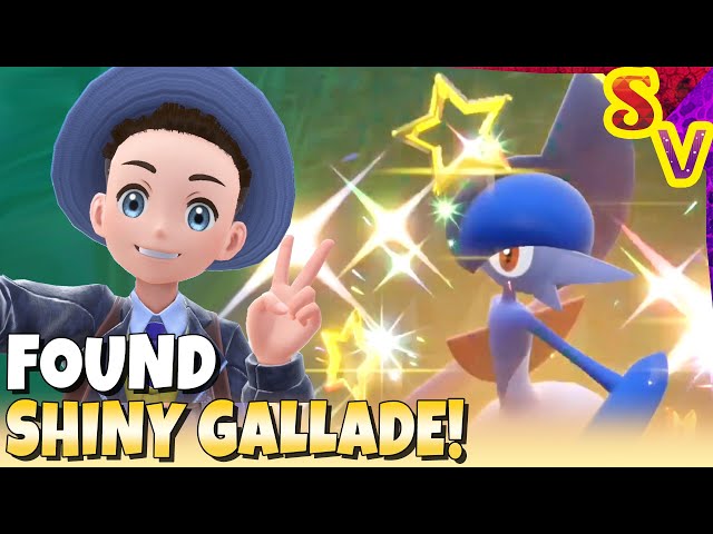 Shiny Gallade Pokemon