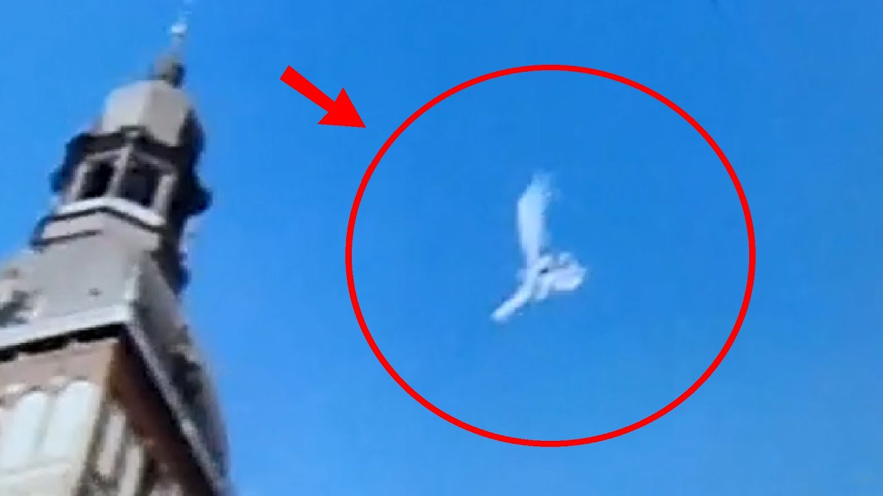 REAL ANGELS CAUGHT FLYING OVER ROMA 2021!!! SHOCKS EVERYONE - YouTube