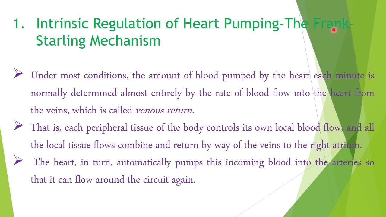 Cardiovascular system lecture 6 with sound - YouTube