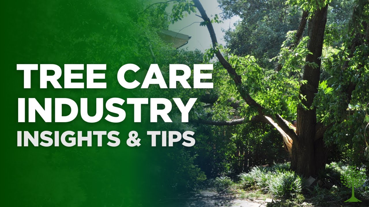 Tree Care Industry Insights and Tips from Ed's Tree Service - YouTube