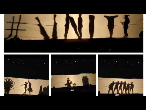 Shadow act # shadow play #Vnit #freshers 2023 - YouTube