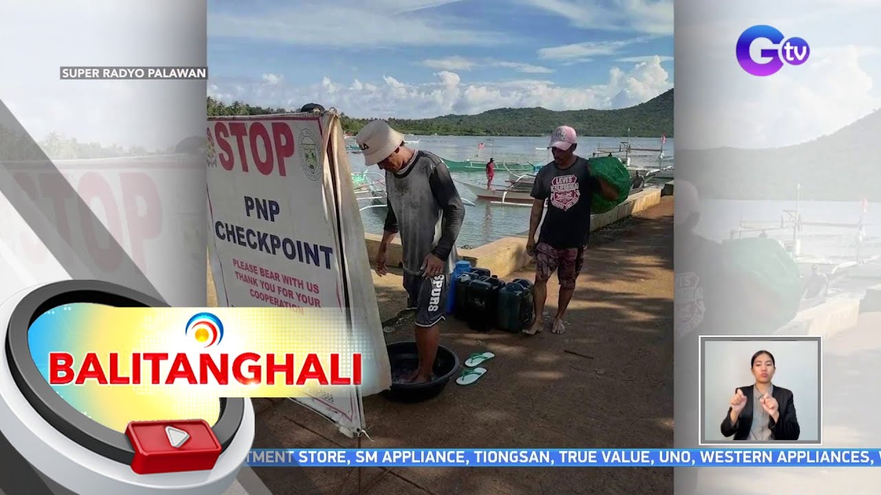 180 na baboy sa isang isla sa Magsaysay, Palawan, hinihinalang namatay ...