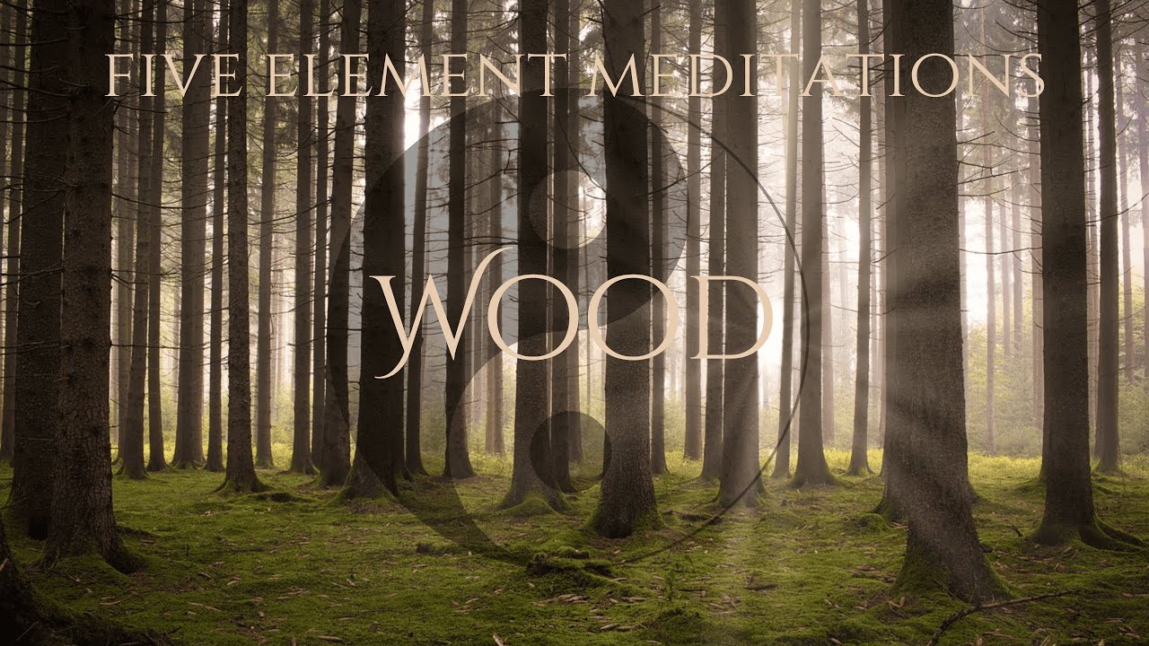 Five Element Guided Meditation and Breathwork: Wood | Release Stress - YouTube