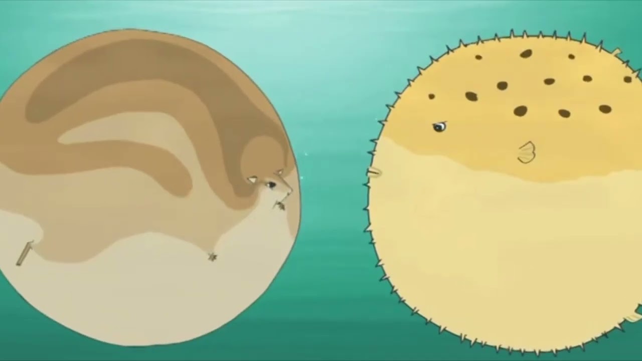 Squirrel Fart Inflation - YouTube