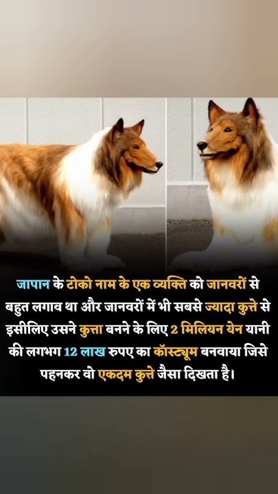 जापान के टोको नाम के एक व्यक्ति को Shortsfeed Facts Factsdaily