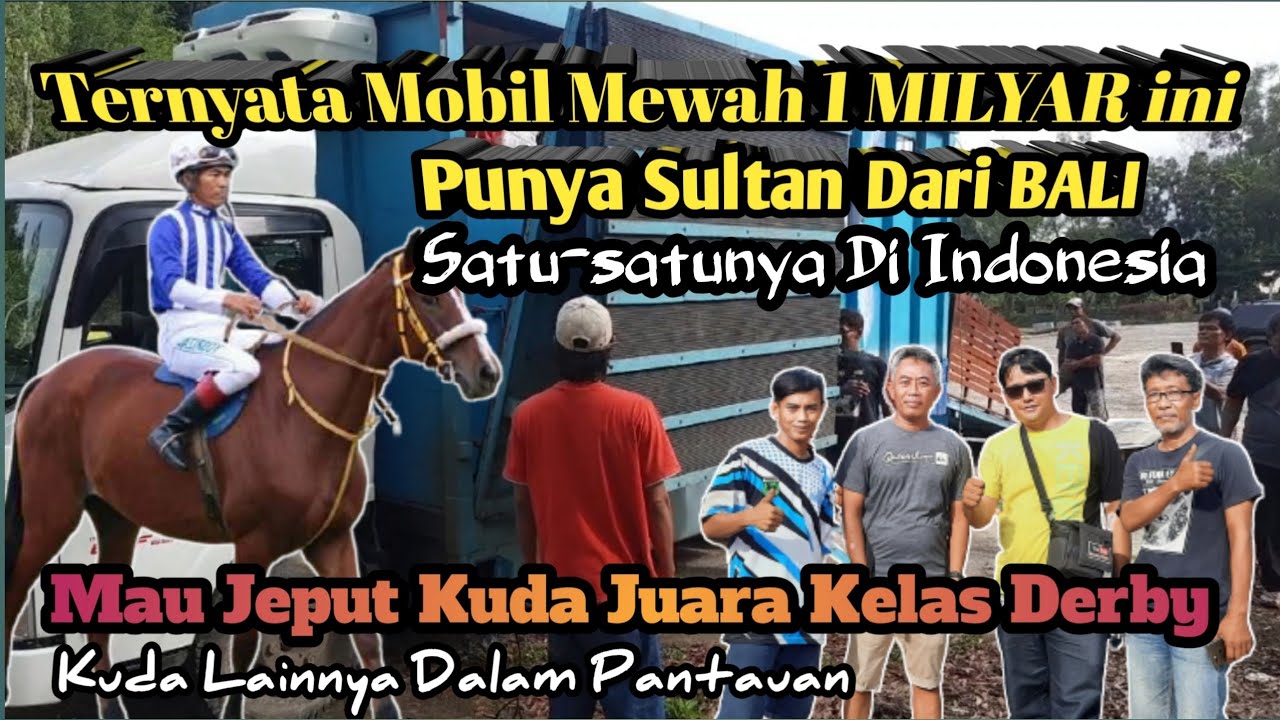 Mobil FLOAT Mewah Seharga 1M pembawa Kuda Pacu Sultan Dari Bali Blue ...