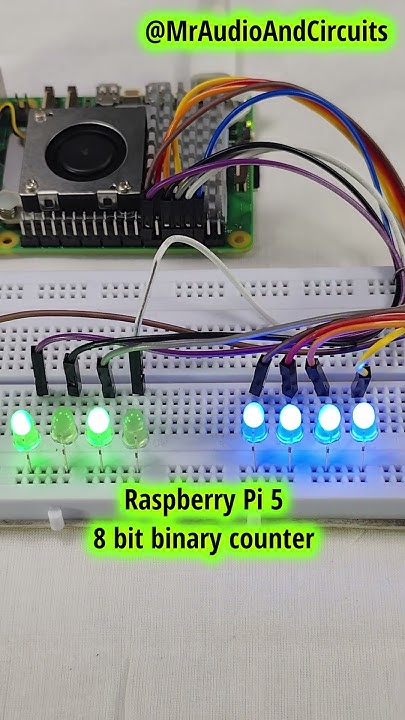Raspberry Pi 5: 8 Bit Binary Counter #raspberrypi #gpio #arduino #arduinoproject #digitalcounter ...