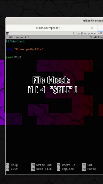 Basic Bash Scripting, Check If File Exists #begginers #bash #bashscripting #sysadmin # ...