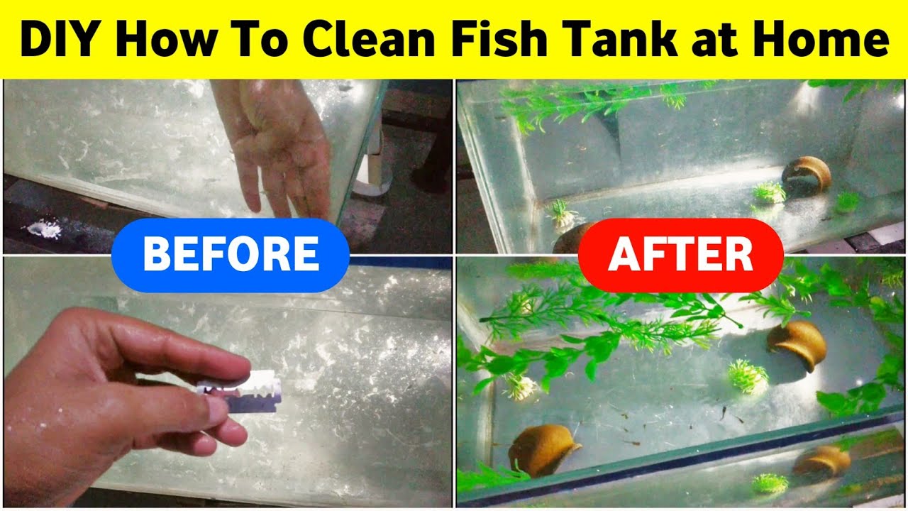 How to clean aquarium | Fish tank complete cleaning - YouTube