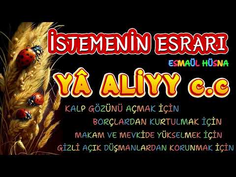 YA ALİYY C C SIRLARI ESRARI FAZİLETLERİ NELERDİR? İSTEMENİN ESRARI NEDİR? #keşfet #seslikitap