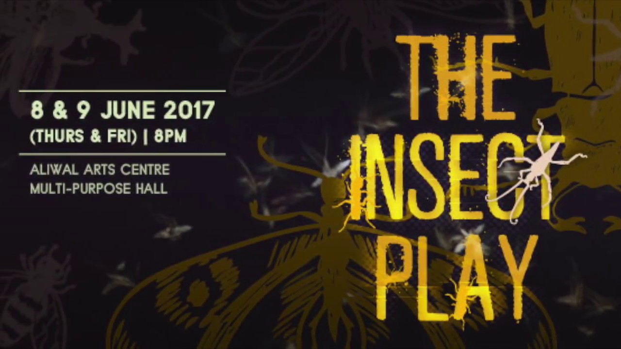 The Insect Play - Isaac & Zahrah - YouTube