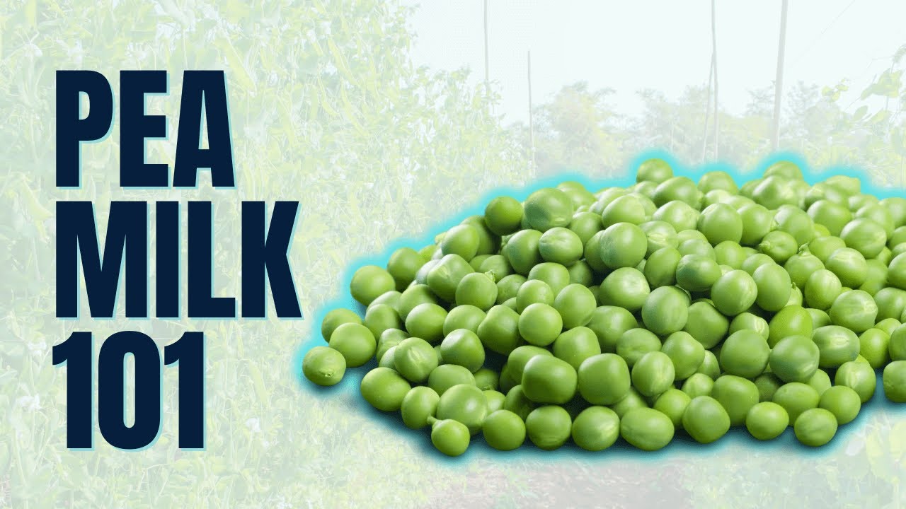 Pea Milk 101: The Health Benefits - YouTube