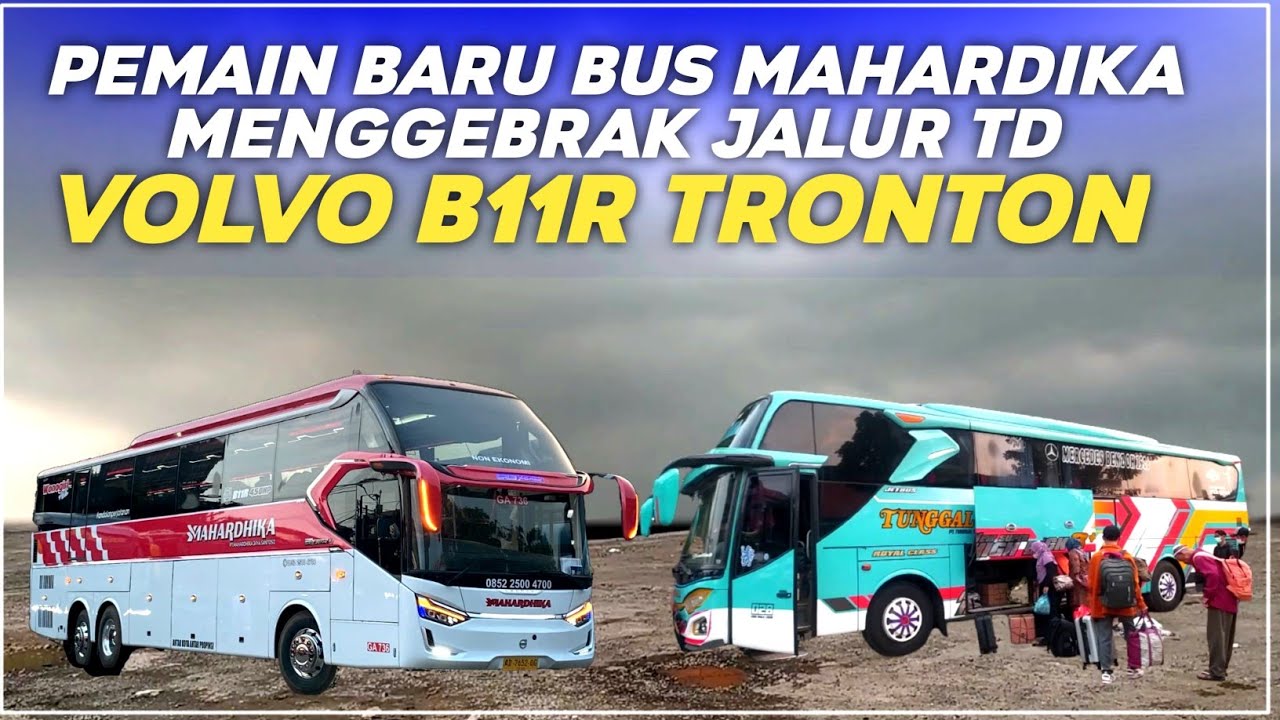 🔵 PEMAIN BARU BUS MAHARDIKA MENGGEBRAK JALUR TD || RILIS ARMADA PREMIUM ...
