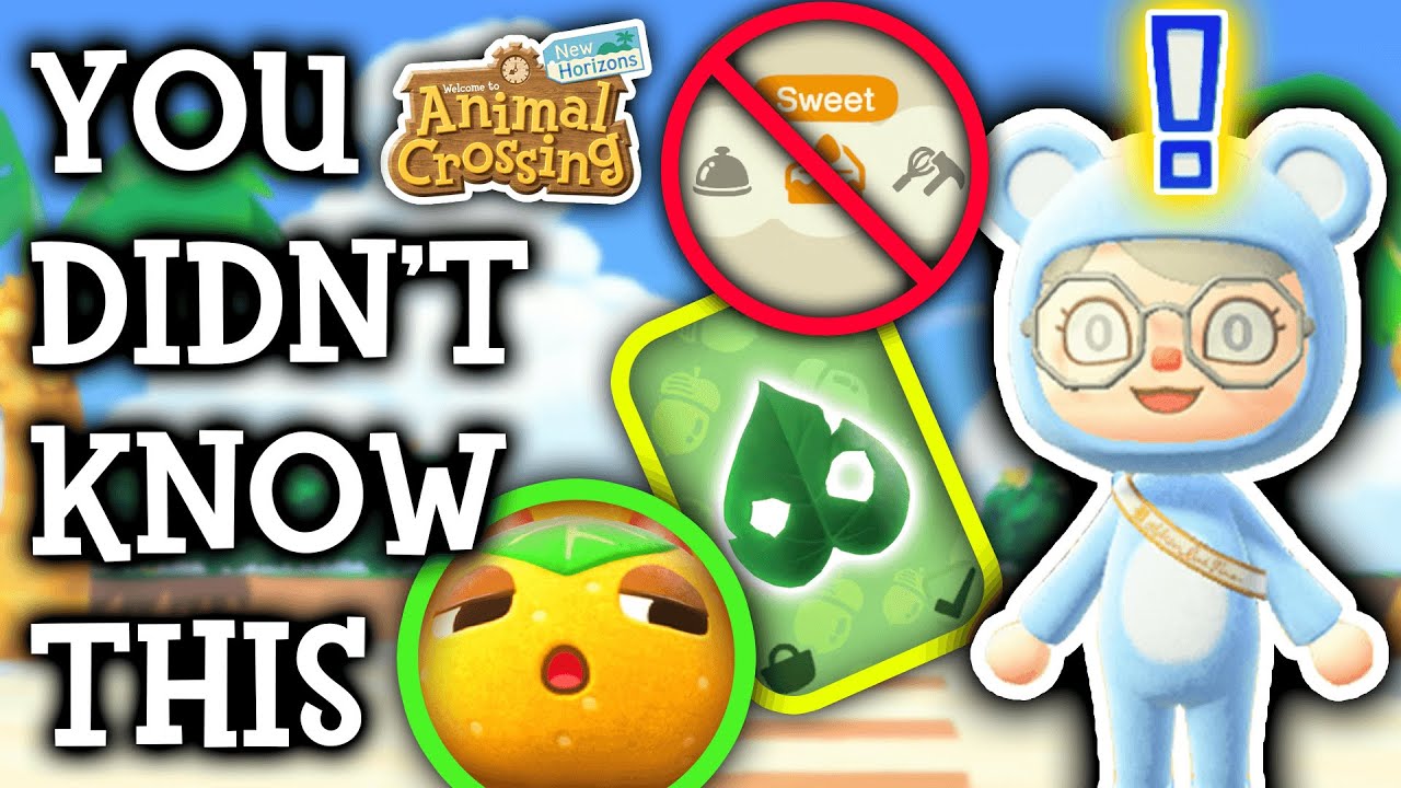 20 Random Animal Crossing Facts You Probably Didn't Know! - YouTube