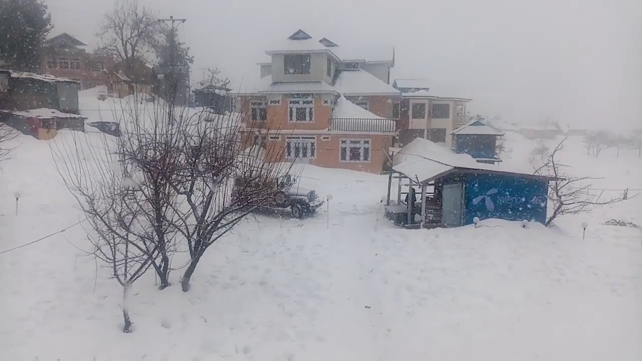 Today Heavy Snowfall In Shogran, Siri Paye 2020|Shogran Valley - YouTube