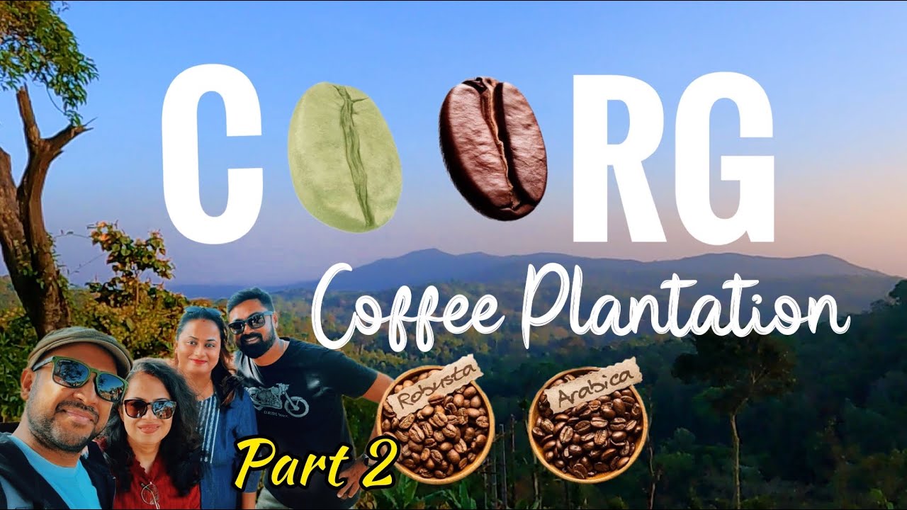 Coorg Part 2 | Coffee Plantation | Arabica & Robusta | Kodagu ...