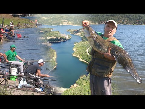 Pecanje soma i bele ribe na Borskom jezeru - Pecanje na plovak