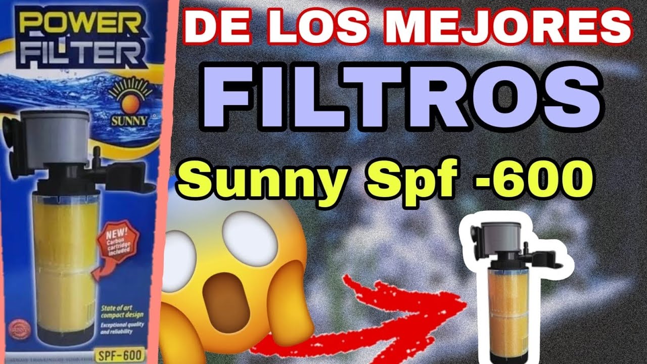 Filtro Sunny SPF 600 Para El Criadero De Guppys - YouTube