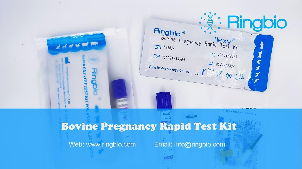 Rapid Visual Bovine Blood Pregnancy Rapid Test Kit with Serum Sample ...