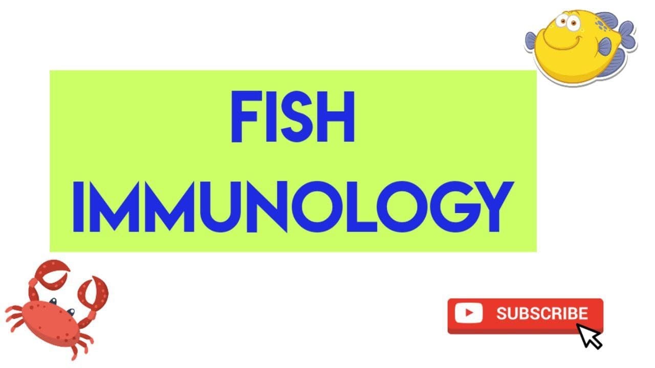 Fish Immunology | Fisheries Science | Aquaculture - YouTube