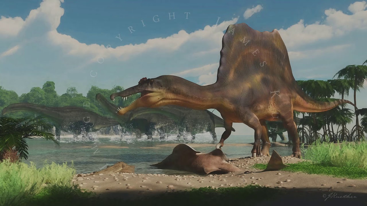 Theropod size comparison - YouTube
