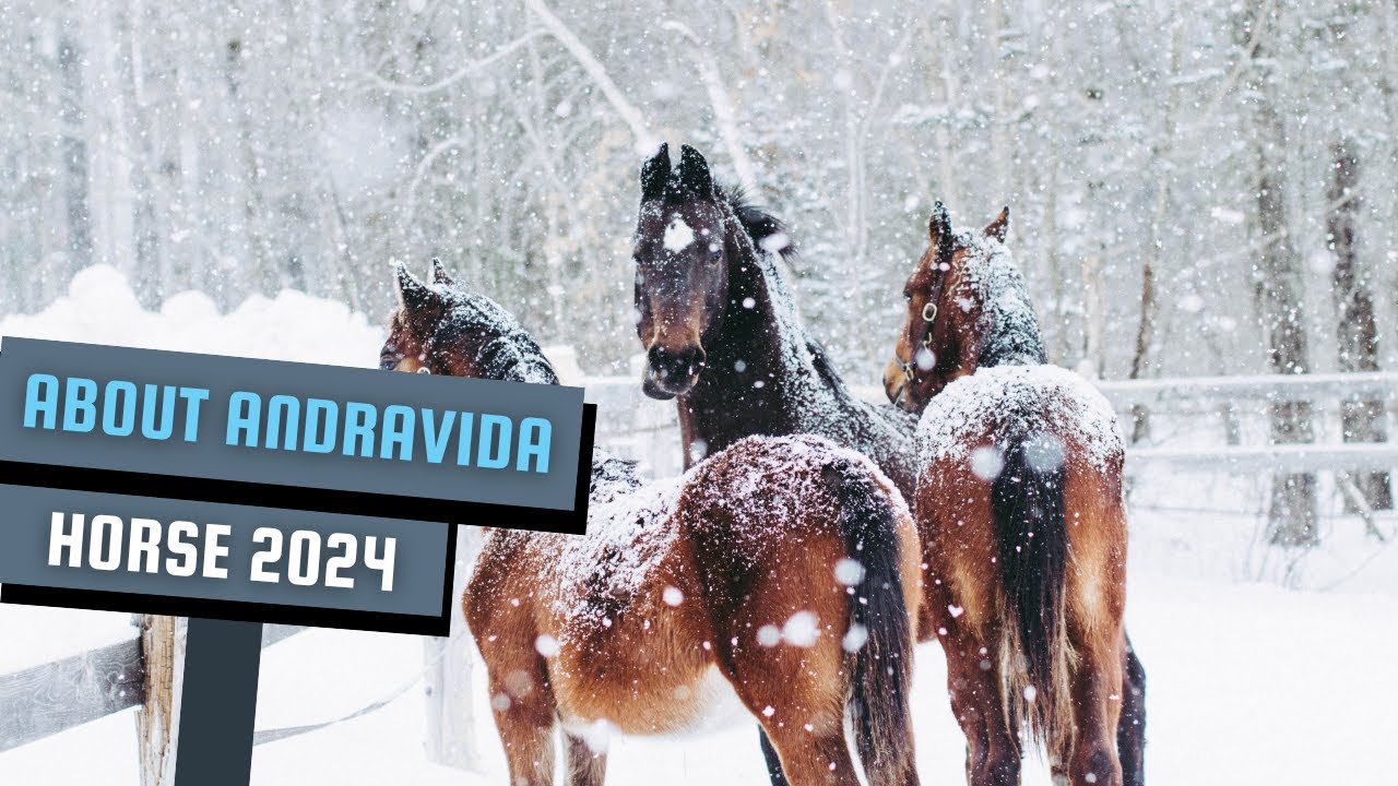 Andravida Horse | Equestrian Farm Breeding #secretanimals - YouTube