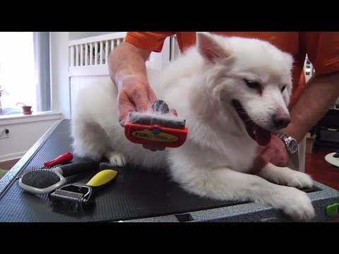 FURminator deShedding Tools - YouTube