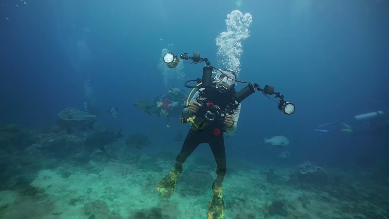 Sipadan Island x Seaventures Dive Rig - YouTube