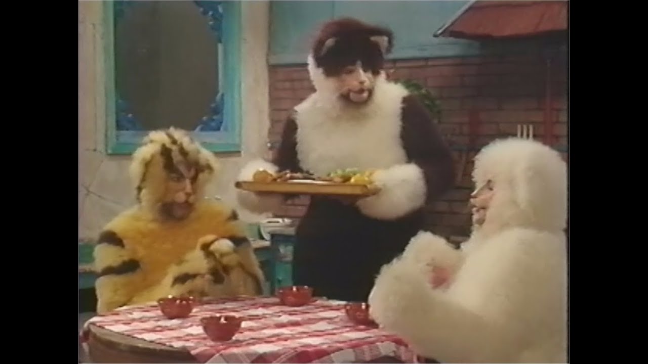 CANAL FAMILLE - Chat Boume - Nuit Blanche - YouTube