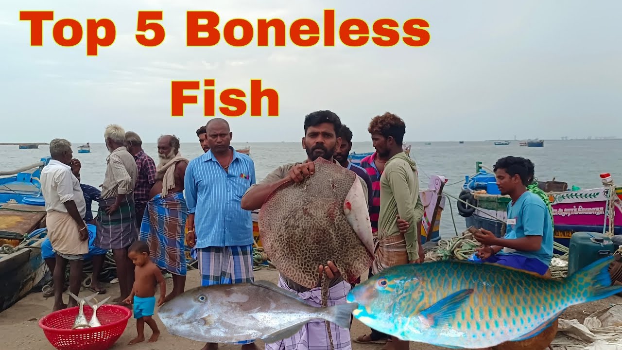 Top 5 Boneless Fish Varieties for kids | மிக சுவையான முட்கள் குறைந்த 5 ...