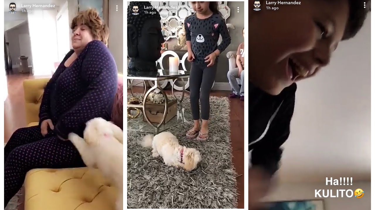 Larry Hernandez jugando en familia on su perrita MIMI 3/12 - YouTube