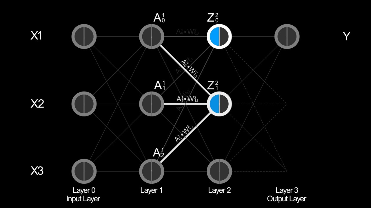 How To Create A Neural Network In Unity DOTS Environment YouTube how-to-create-a-neural-network-in-unity-dots-environment-youtube