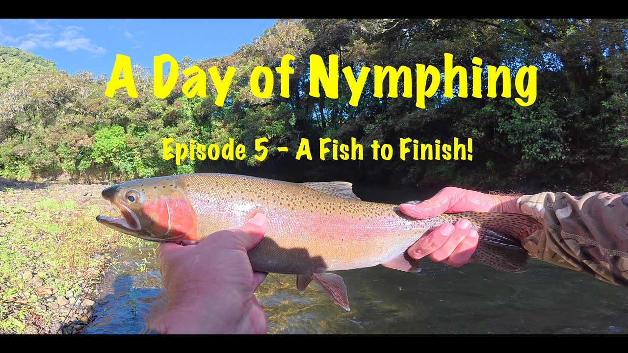A Day of Nymphing Episode 5 - A Fish to Finish - YouTube