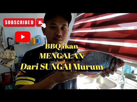 BBQ IKAN MENGALAN DARI MURUM DAM BAKUN BERSAMA KELUARGA DAN SAUDARA DI ...