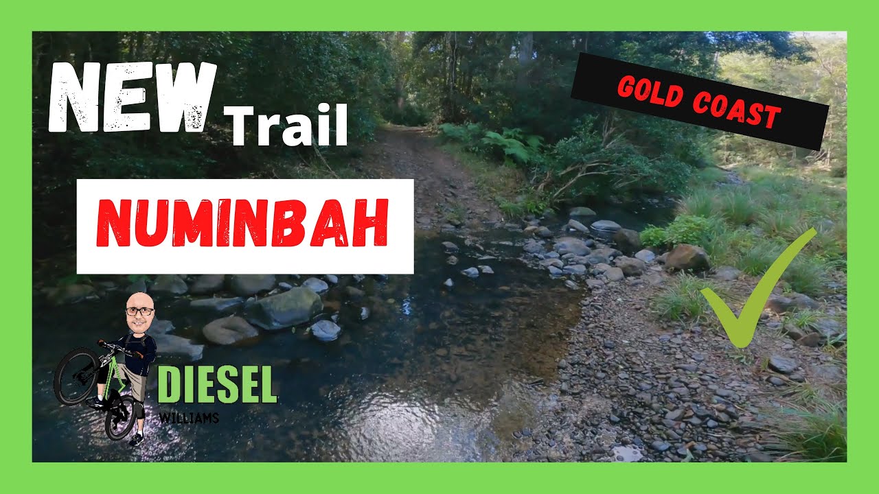 New Trail Find, Numinbah Forest Gold Coast - YouTube