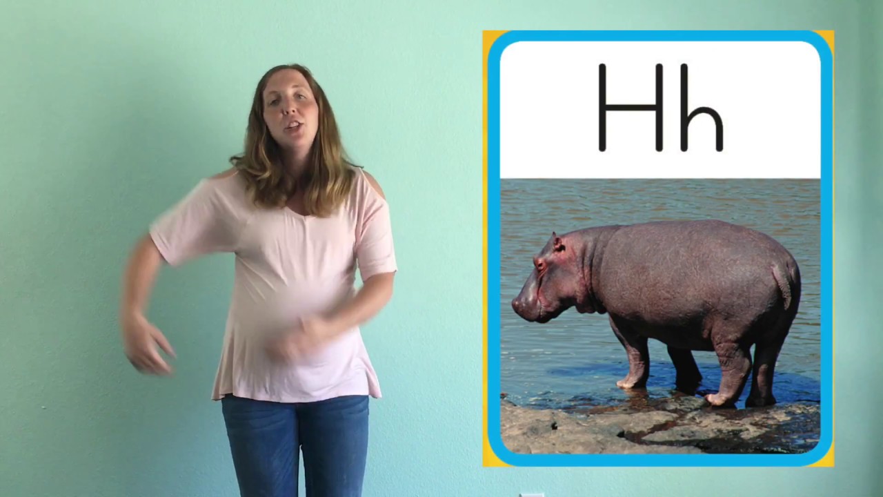 Letter Sounds Song - YouTube