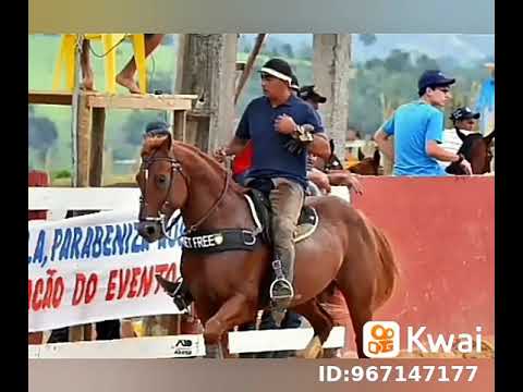 vídeo de vaquejada