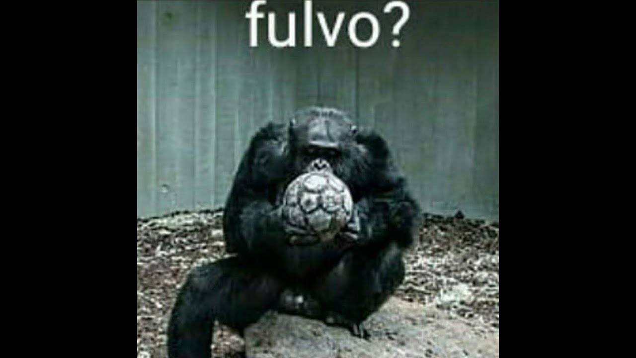 Sale fulvo? - YouTube