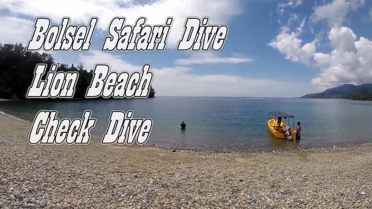 BOLSEL SAFARI DIVE - LION BEACH CHECK DIVE - YouTube