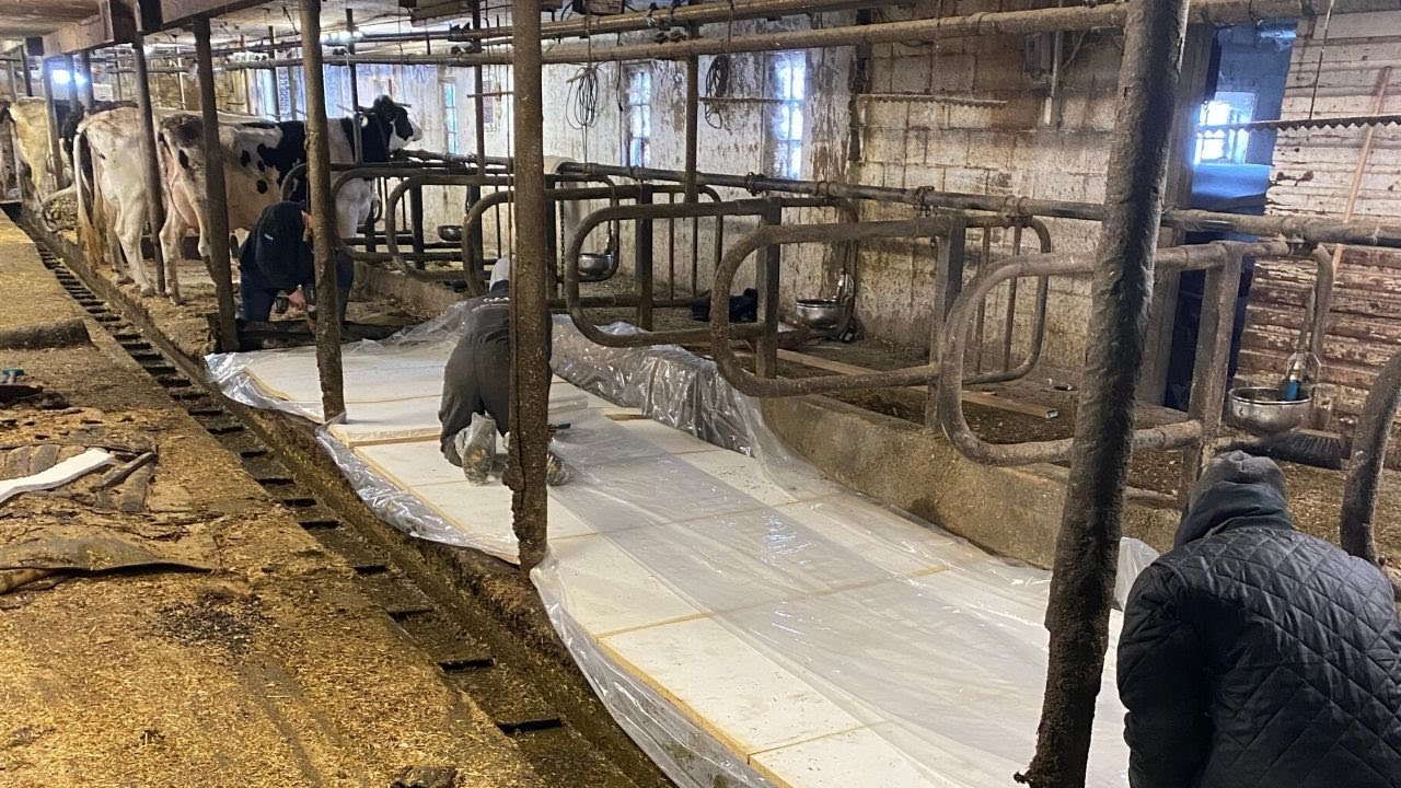 Putting in brand new stalls for the cows!!! - YouTube